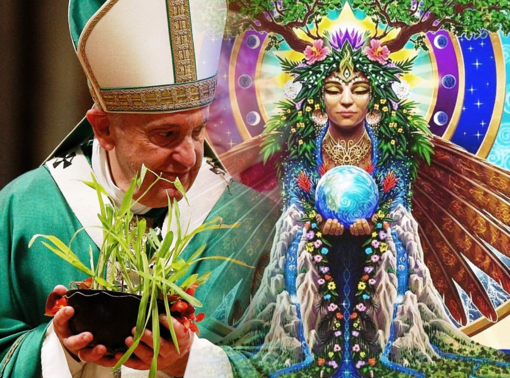 Pope Francis Believes that We must Learn about Ecology from the ...